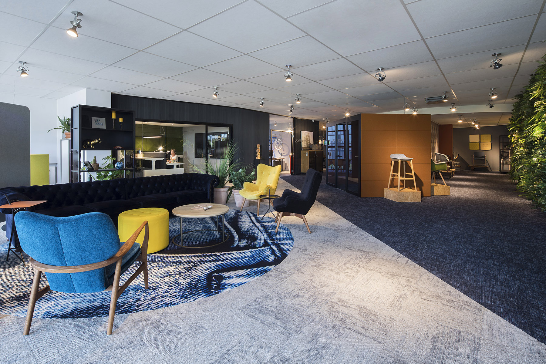 CEKA Nederland - CEKA Nederland